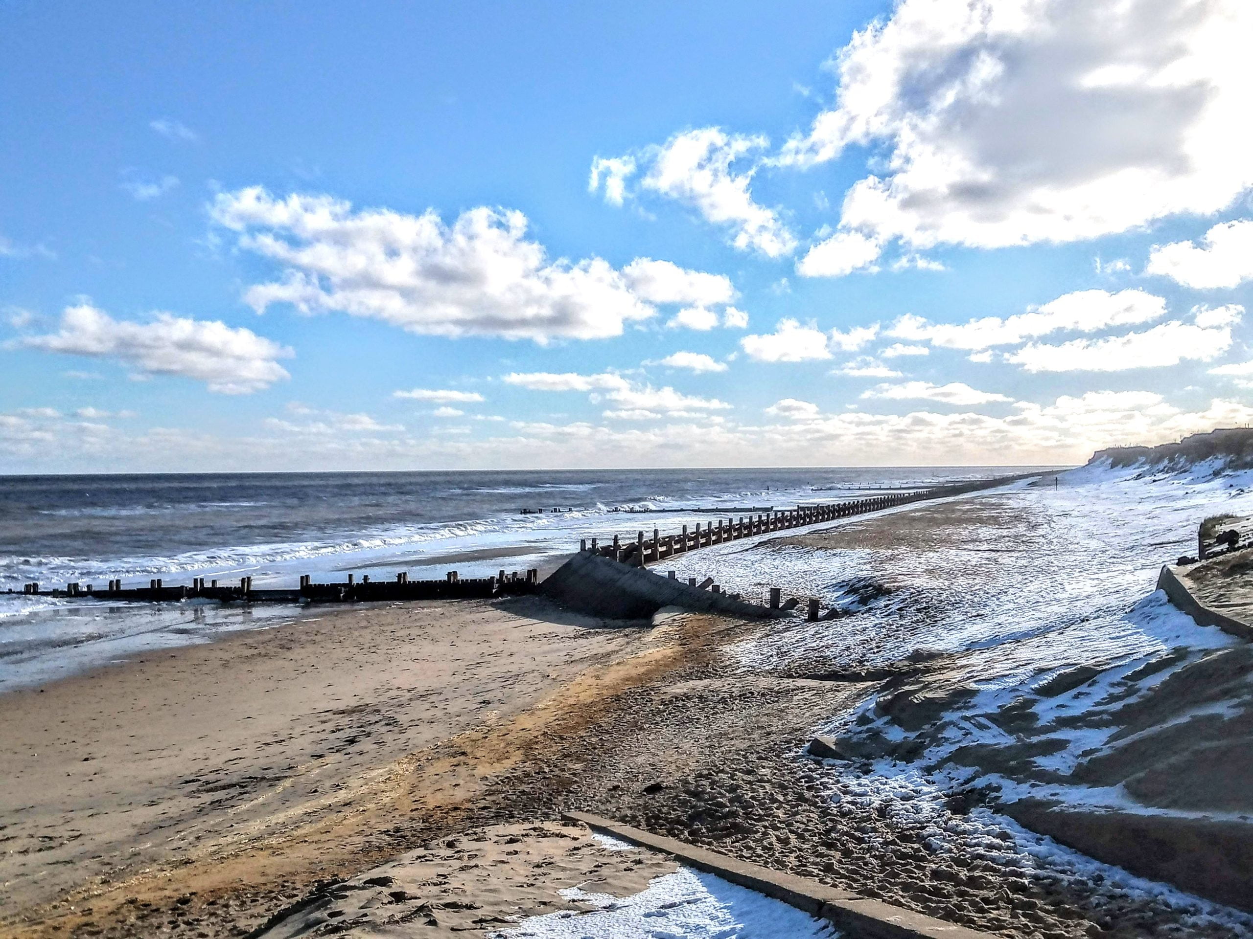 The Best Dog Friendly Beaches in Norfolk (2023 Updated) - Pack Holidays